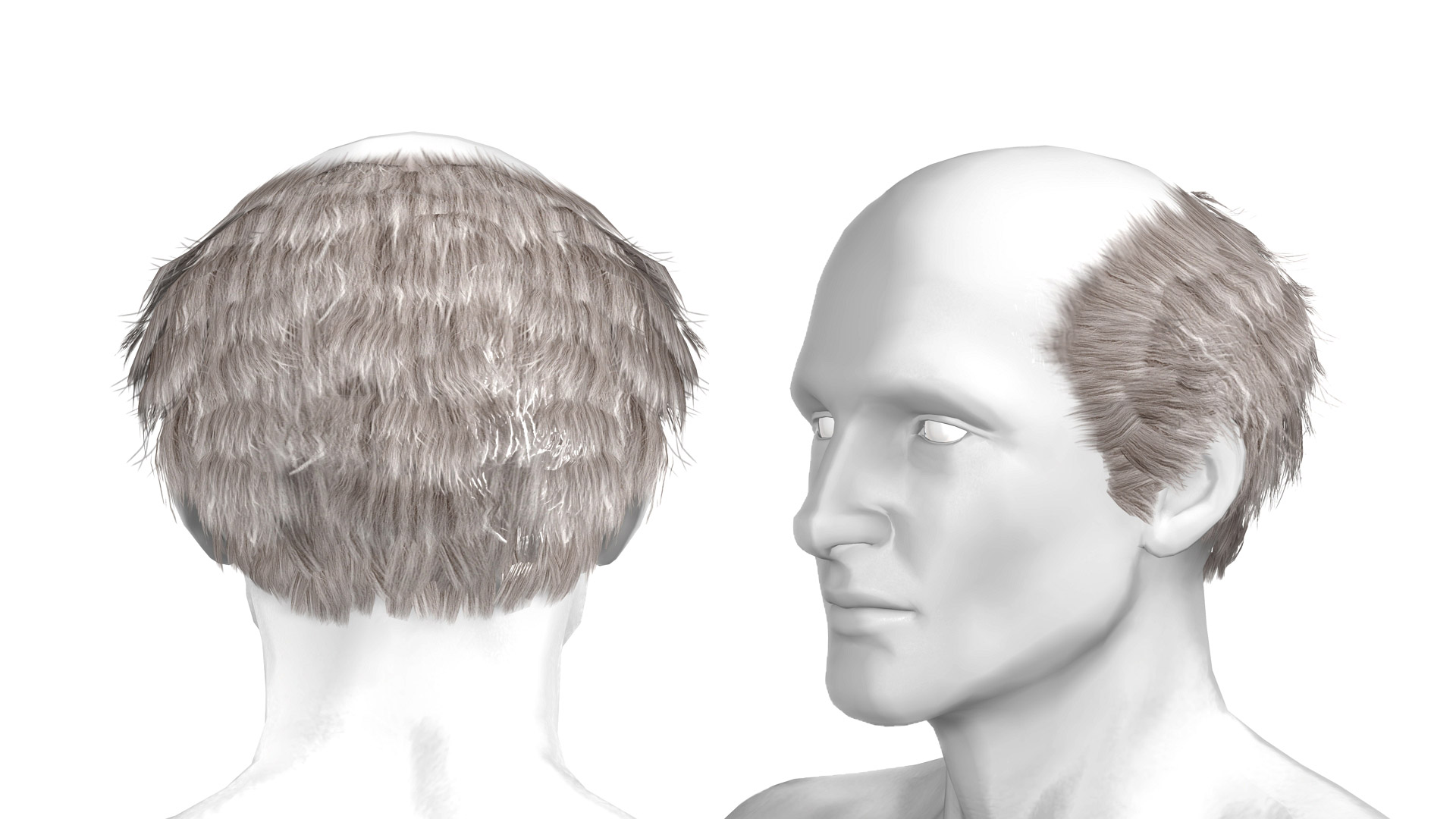 Bald - Character Creator/Hair - Reallusion Content Store