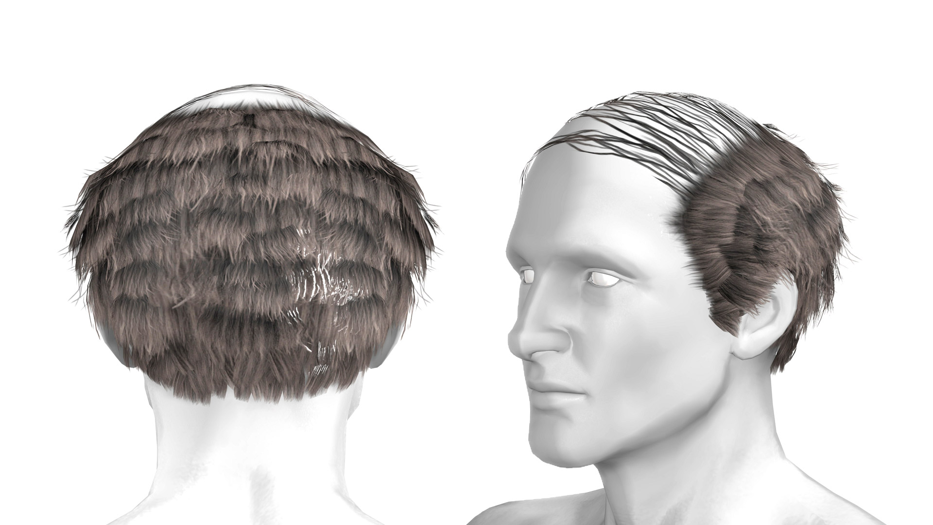 Bald Comb-over - Character Creator/Hair - Reallusion Content Store