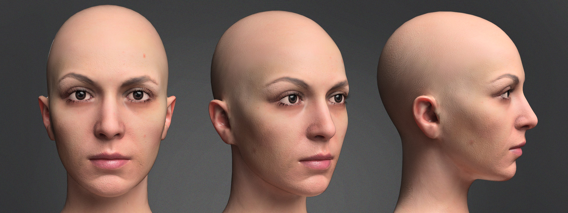 Virtual Human Bodies - Charlotte - Character Creator/Combo (Single PID ...