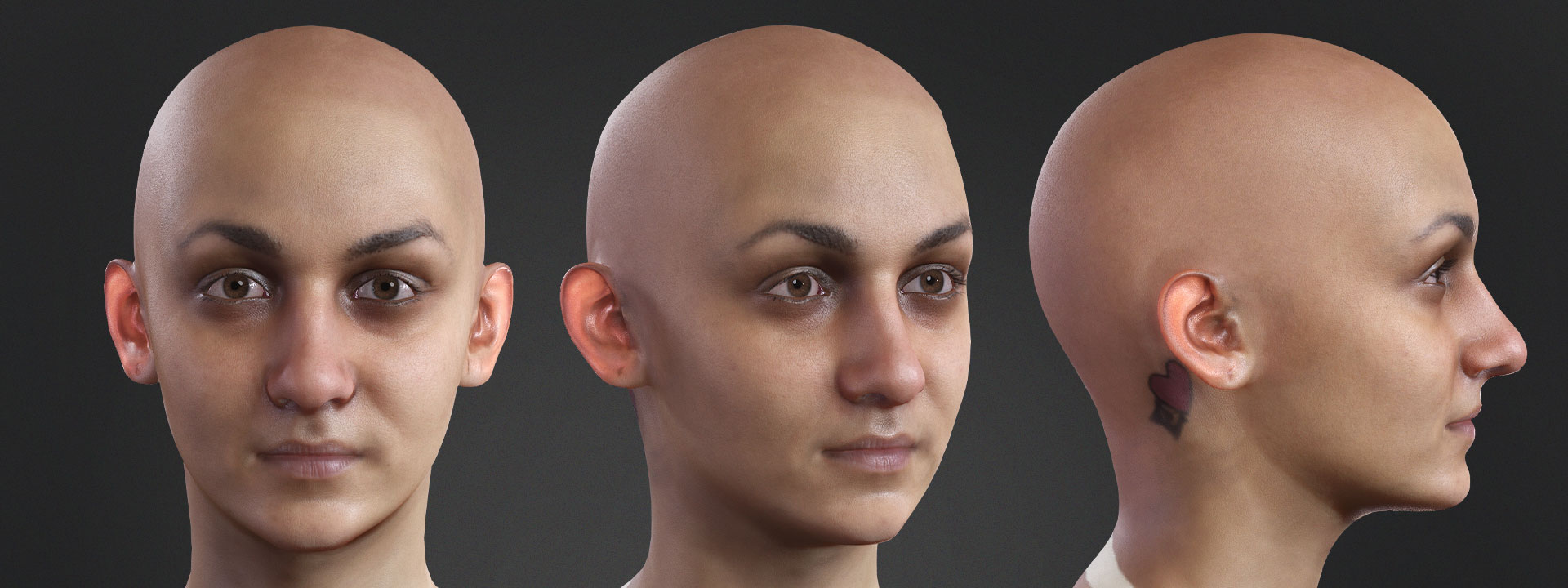 Virtual Human Bodies - Meredith - Character Creator/Combo (Single PID ...