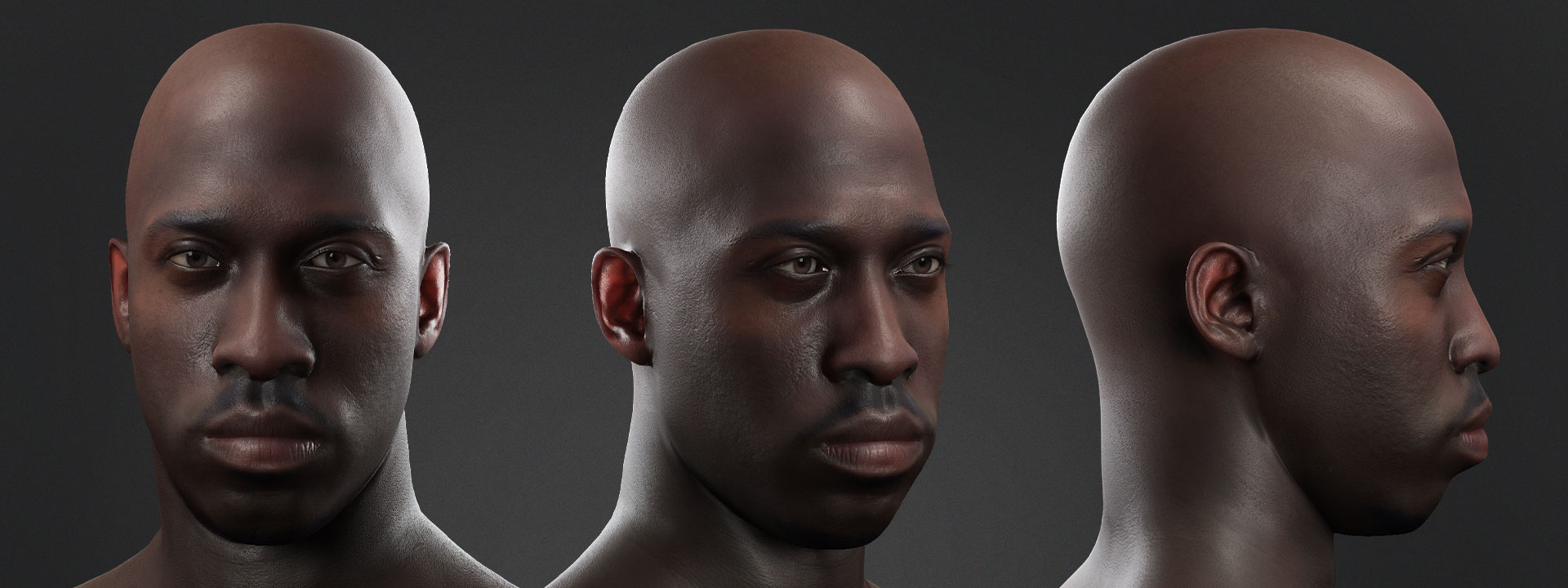 Virtual Human Bodies - Tyrell - Character Creator/Combo (Single PID ...
