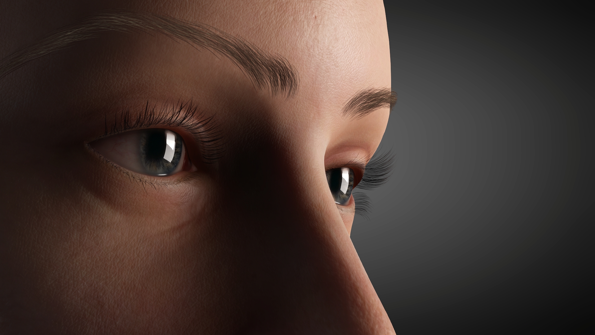 Woman Eyebrows Pack 01 - Character Creator/Hair - Reallusion Content Store