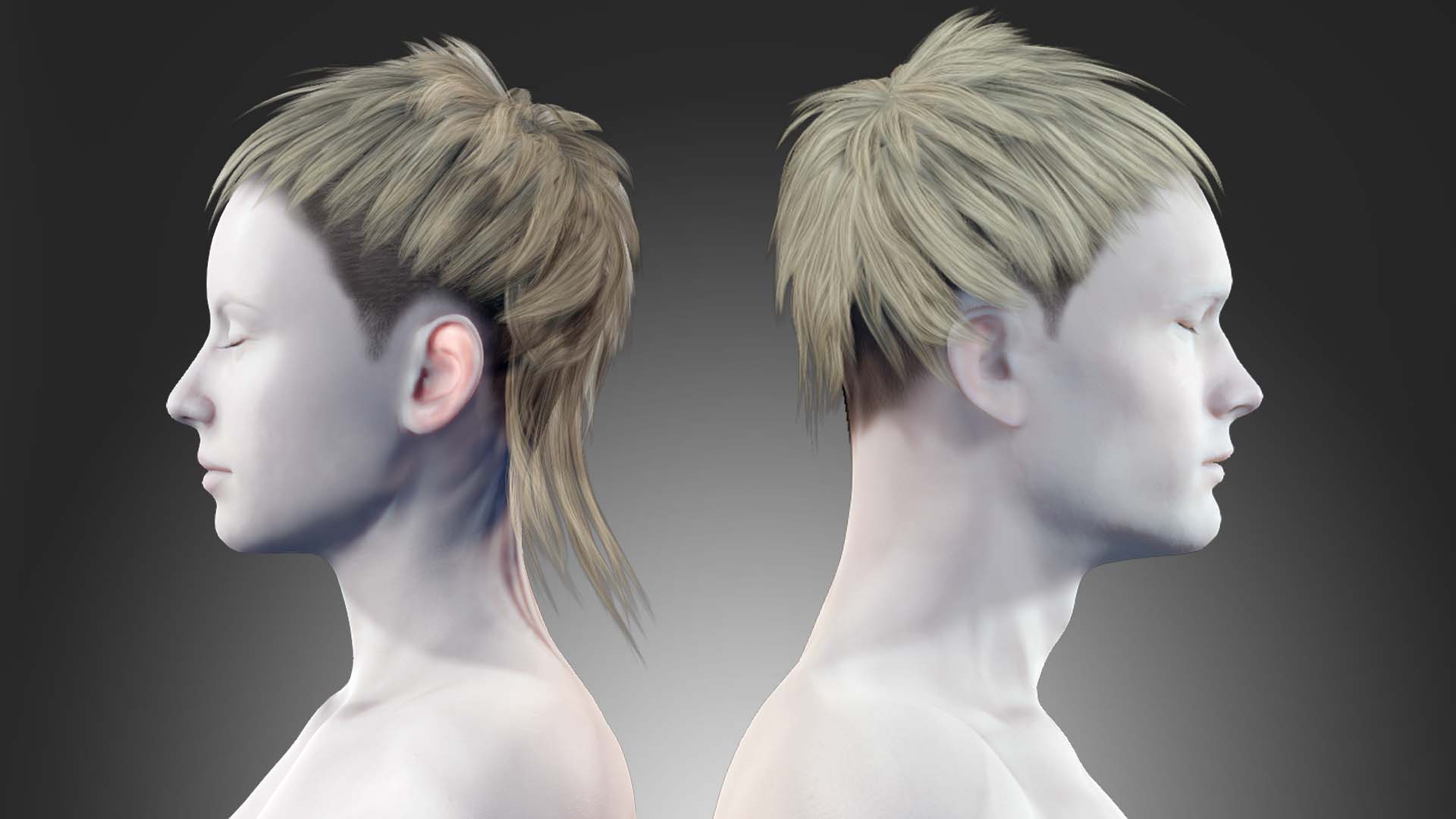 2nd Generation Hair2 - Character Creator/Hair - Reallusion Content Store