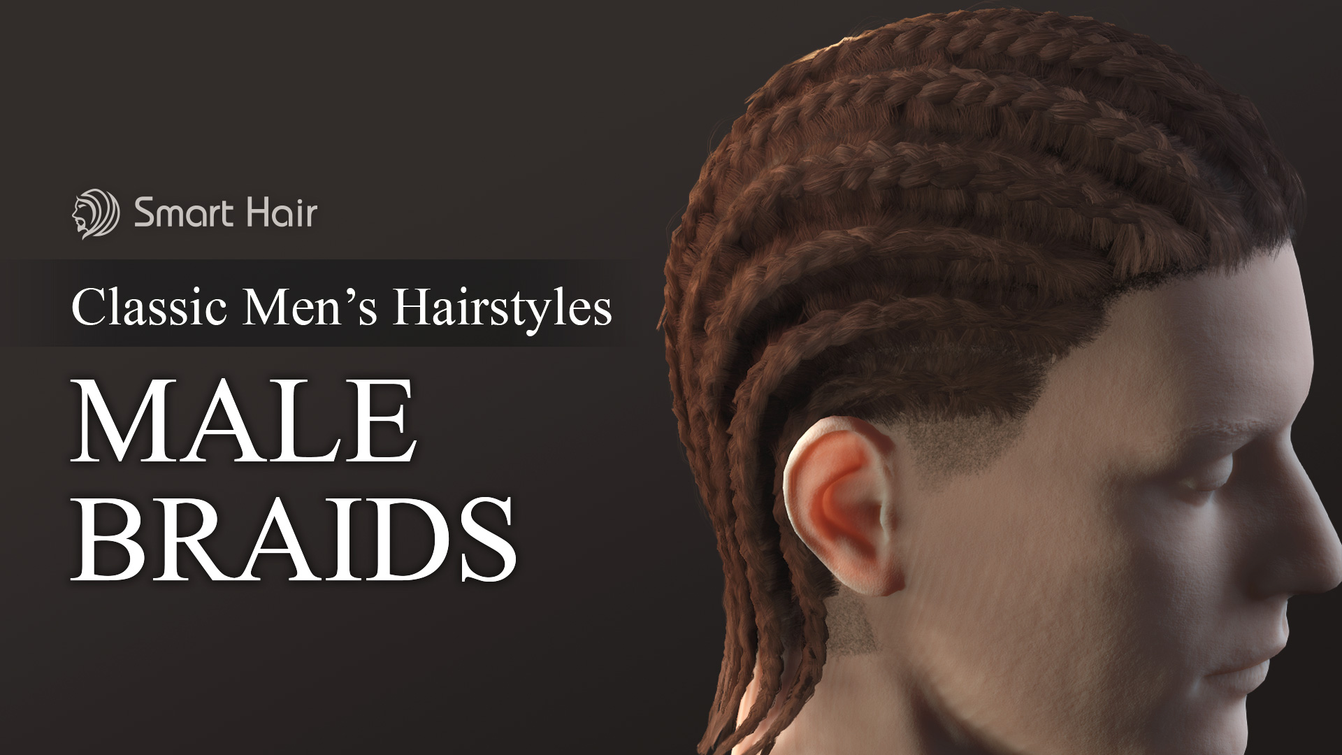 Male Braids Hair - Character Creator/Hair - Reallusion Content Store