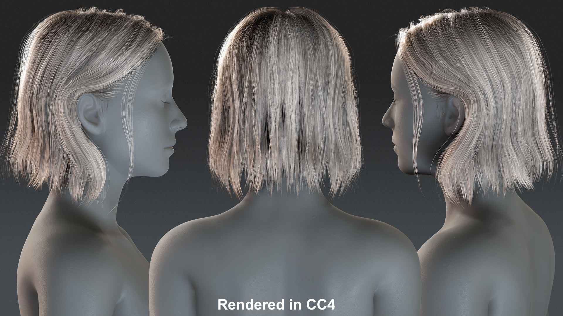 Sleek Middle Part - Character Creator/Hair - Reallusion Content Store