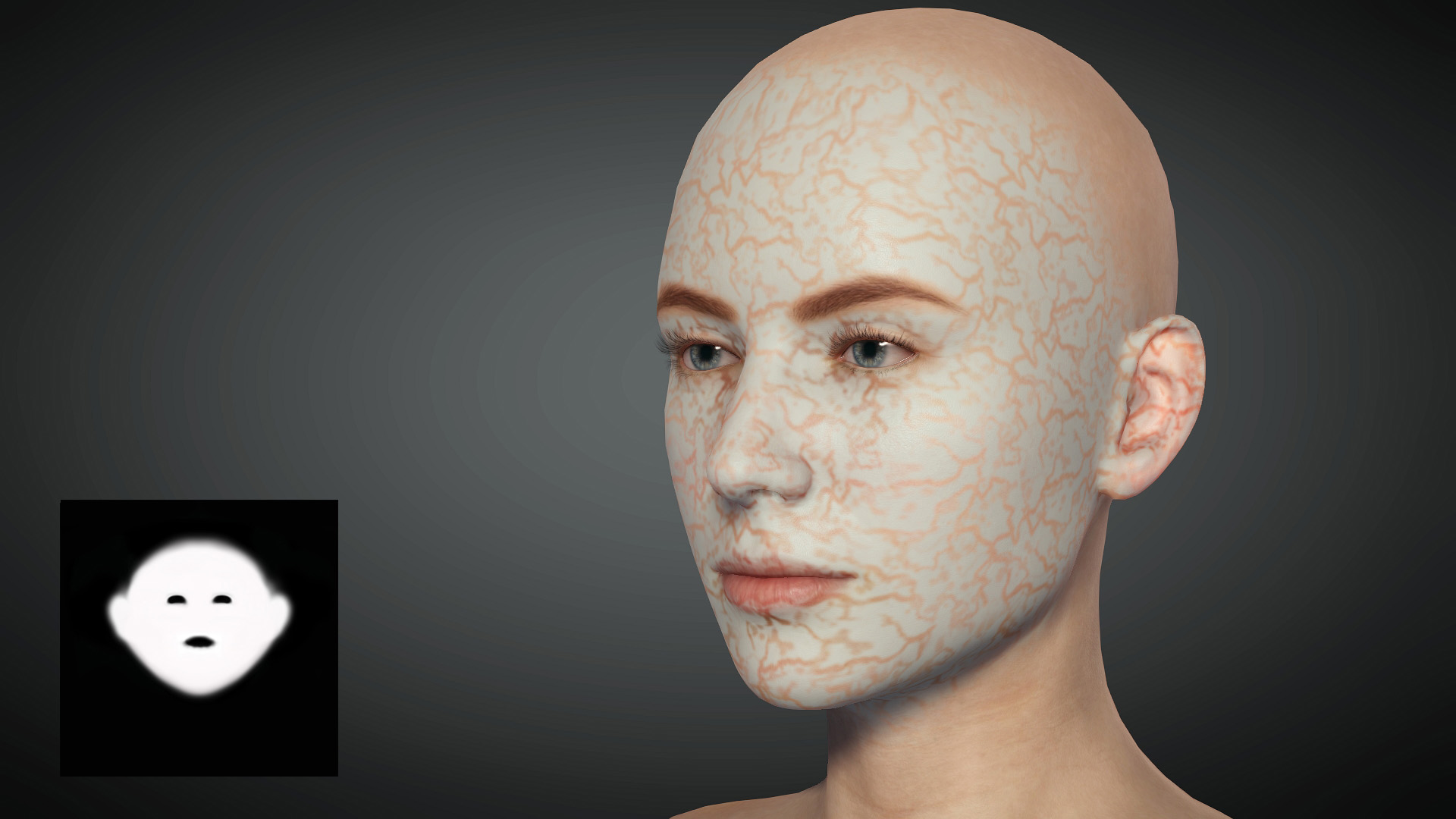 DMFX Face Mask Basic Set Pack 2 - Character Creator/Skin - Reallusion ...