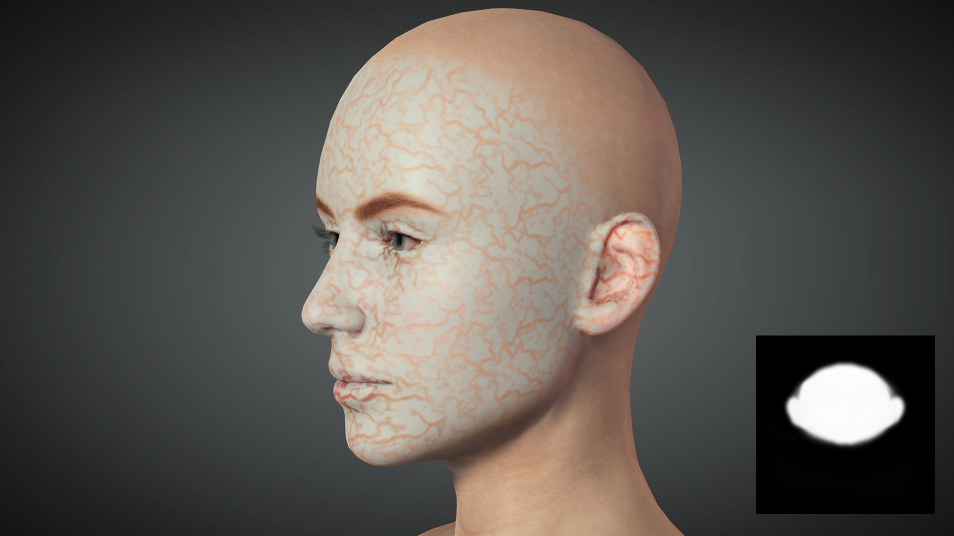 DMFX Face Mask Basic Set Pack 2 - Character Creator/Skin - Reallusion ...