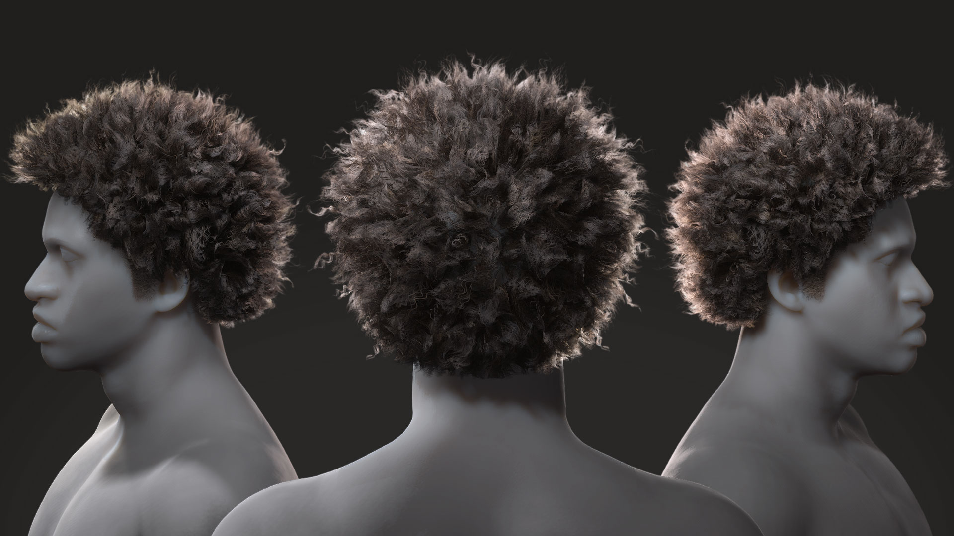 Medium Afro Hair - Character Creator/Hair - Reallusion Content Store