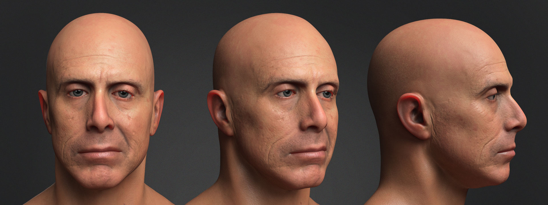 Virtual Human Heads - Caleus - Character Creator/Combo (Single PID ...