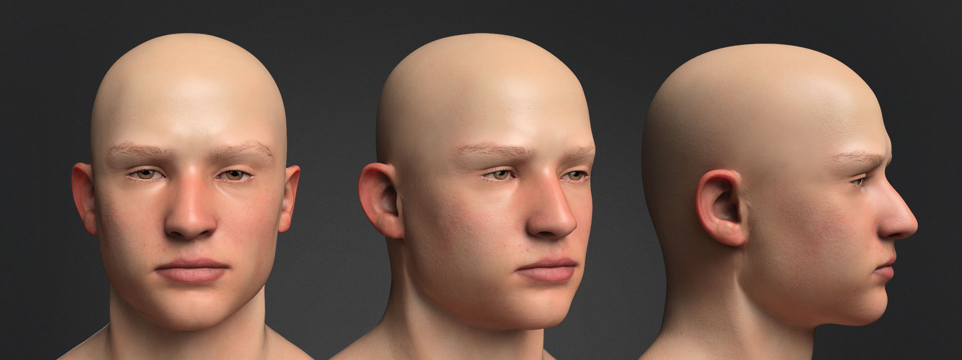 Virtual Human Heads - Dimitri - Character Creator/Combo (Single PID ...