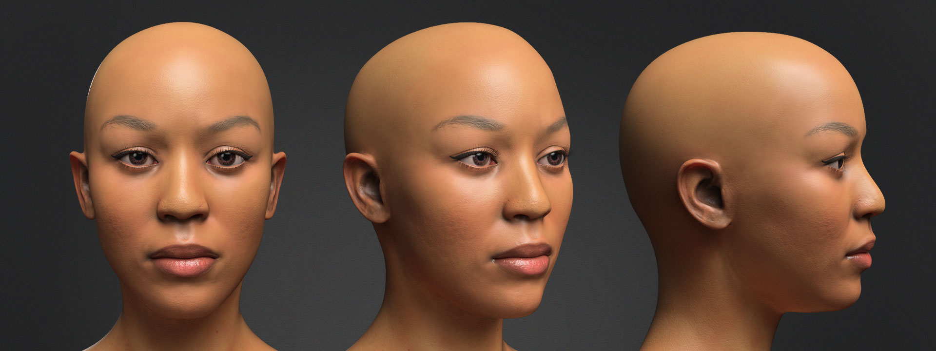 Virtual Human Heads - Michelle - Character Creator/Combo (Single PID ...