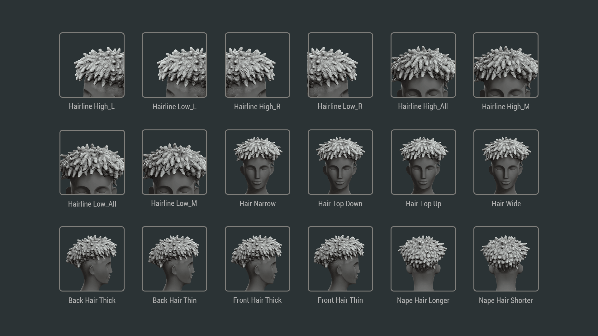 Lite Hair Afro Vol. 1 - Character Creator/Hair - Reallusion Content Store
