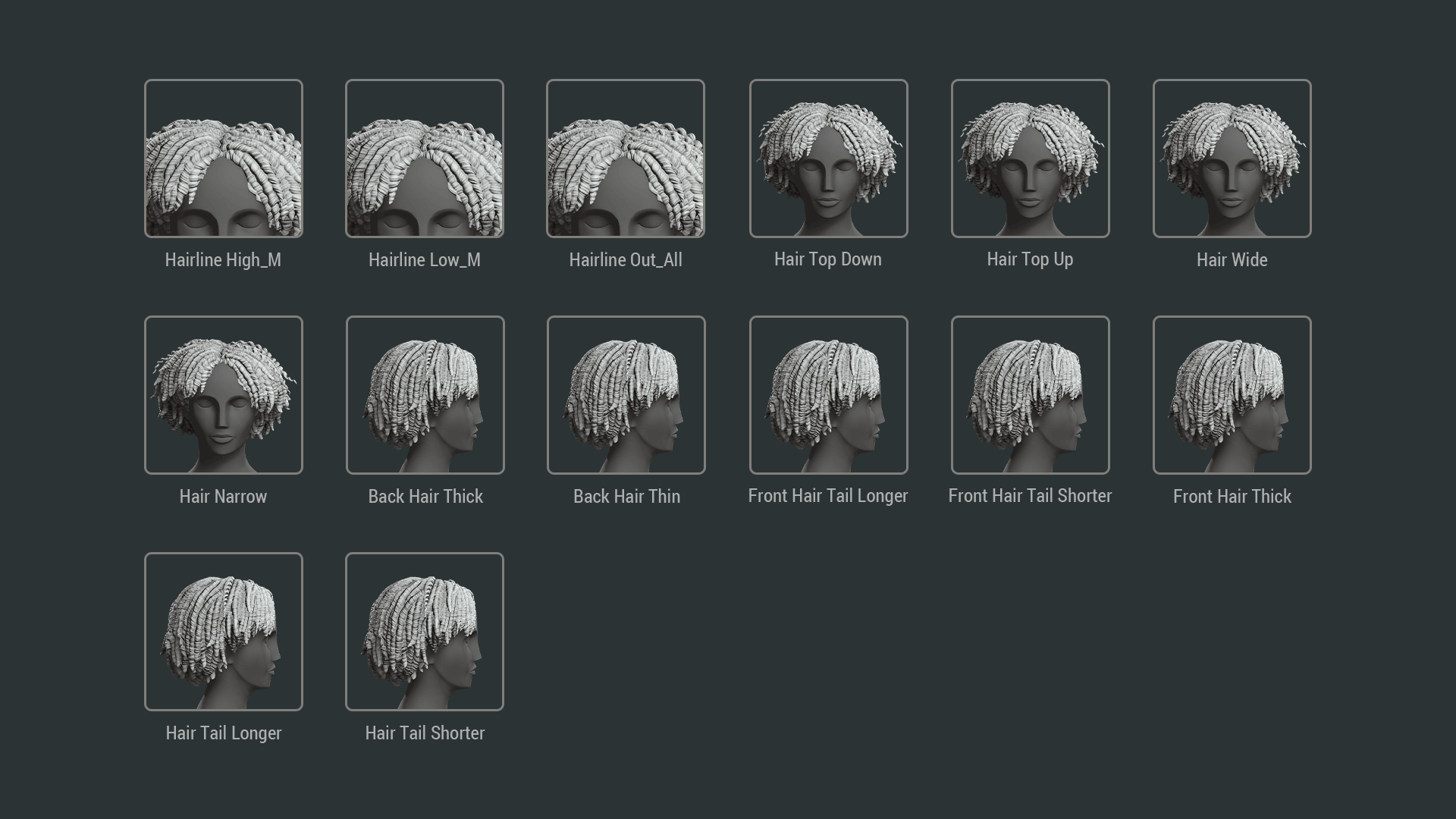 Lite Hair Afro Vol. 2 - Character Creator/Hair - Reallusion Content Store