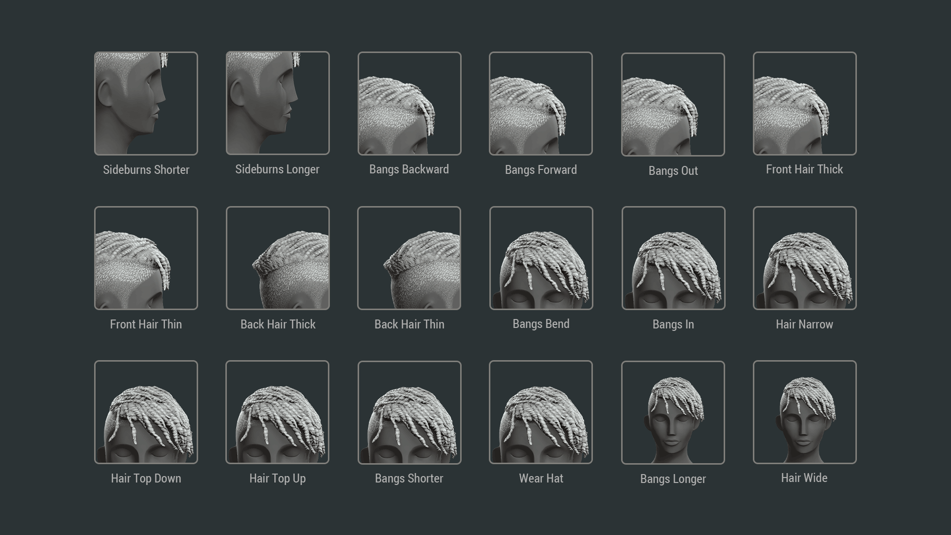 Lite Hair Afro Vol. 2 - Character Creator/Hair - Reallusion Content Store