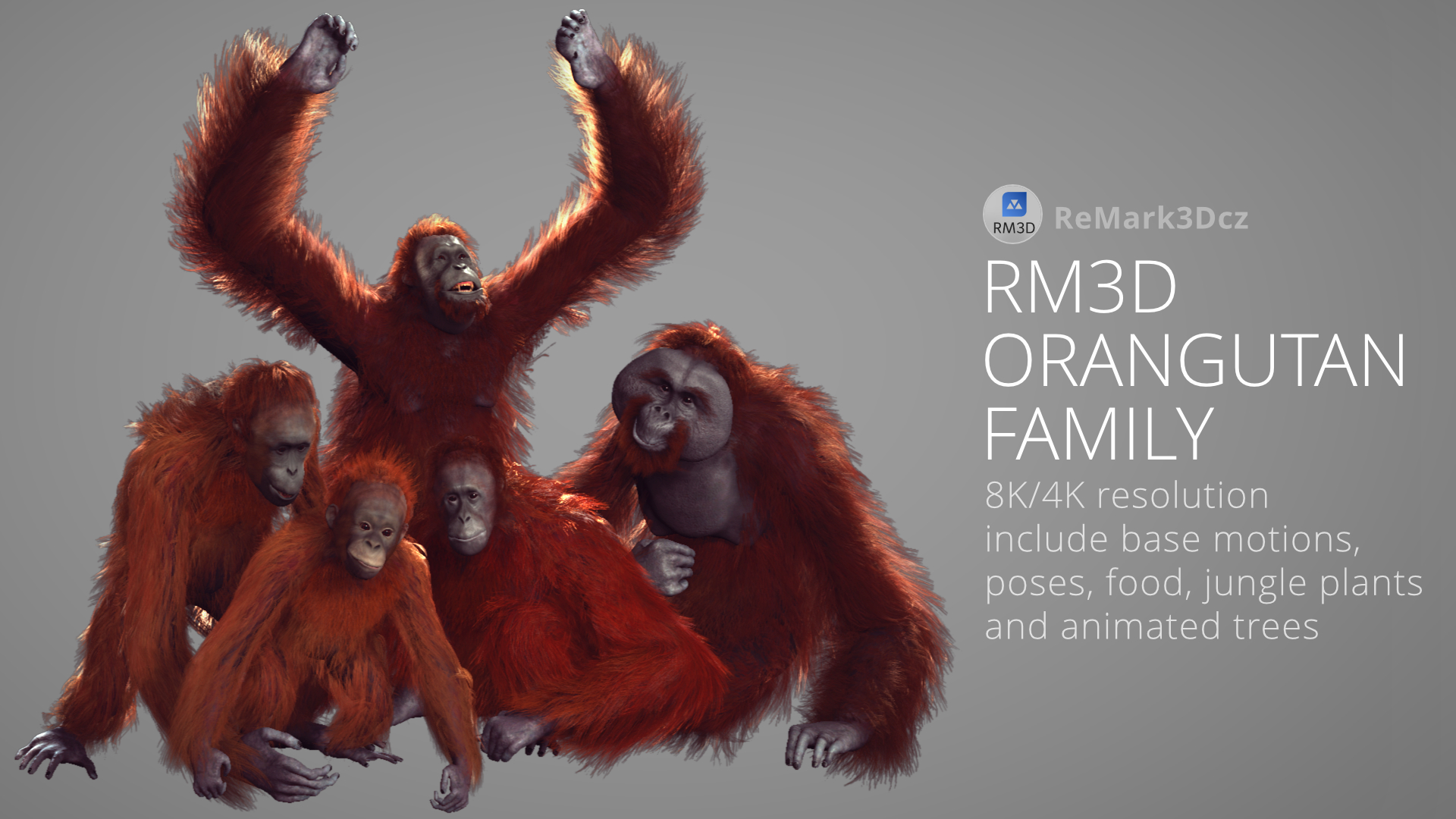 RM3D Orangutan Family - Character Creator/Actor - Reallusion Content Store