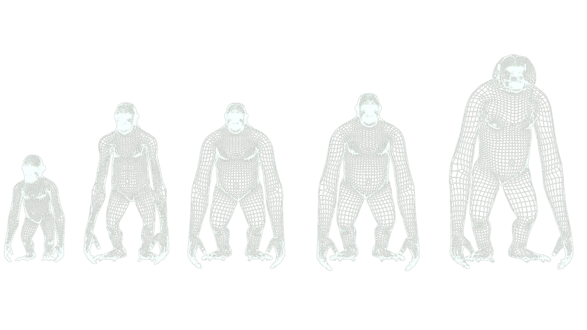 RM3D Orangutan Family - Character Creator/Actor - Reallusion Content Store