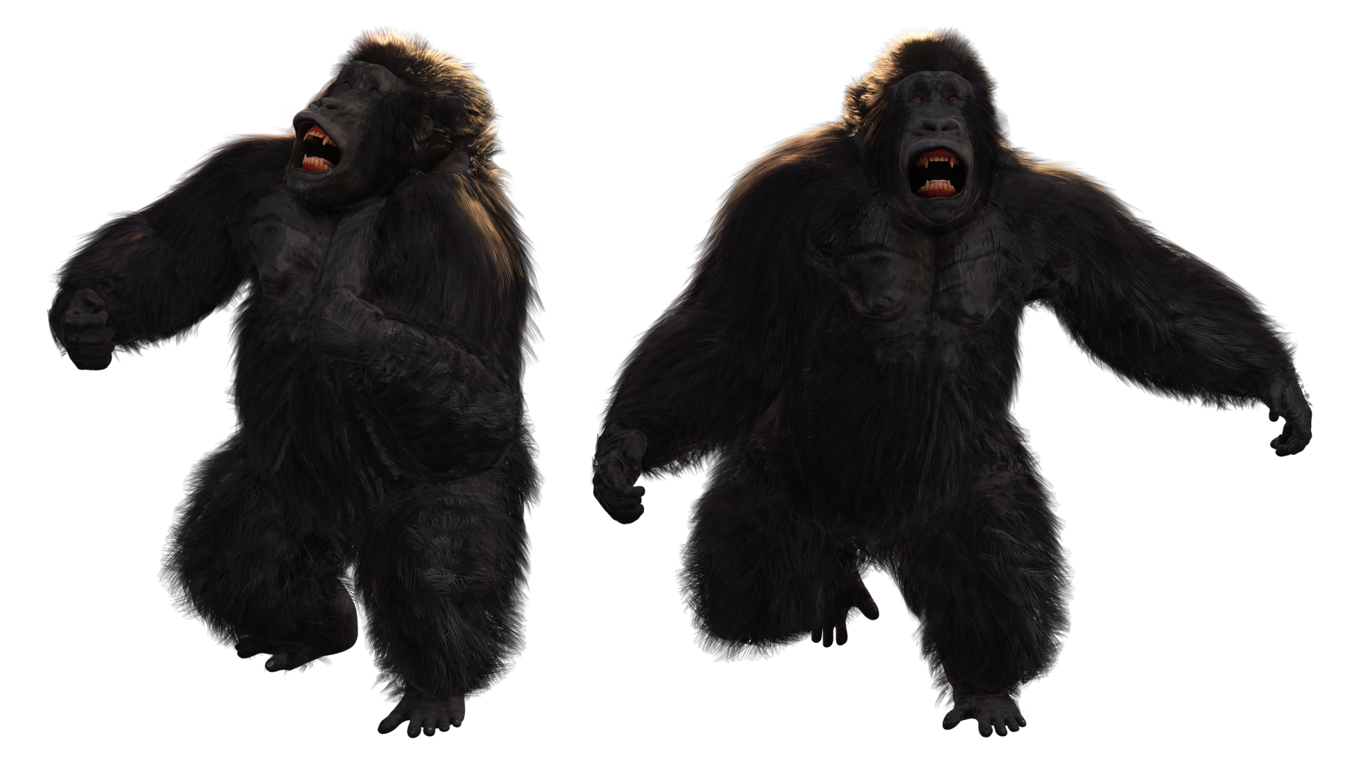 RM3D Gorilla Family - Character Creator/Actor - Reallusion Content Store