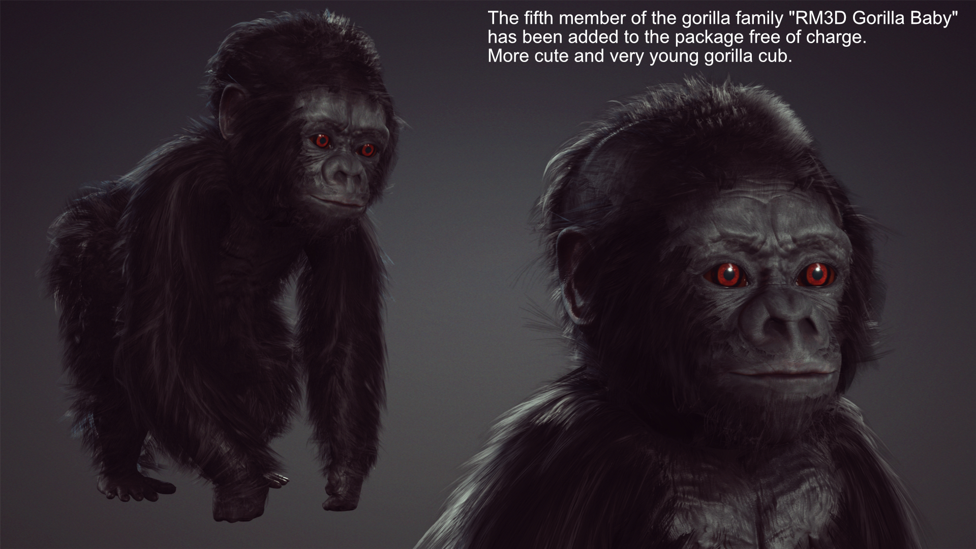 RM3D Gorilla Family - Character Creator/Actor - Reallusion Content Store