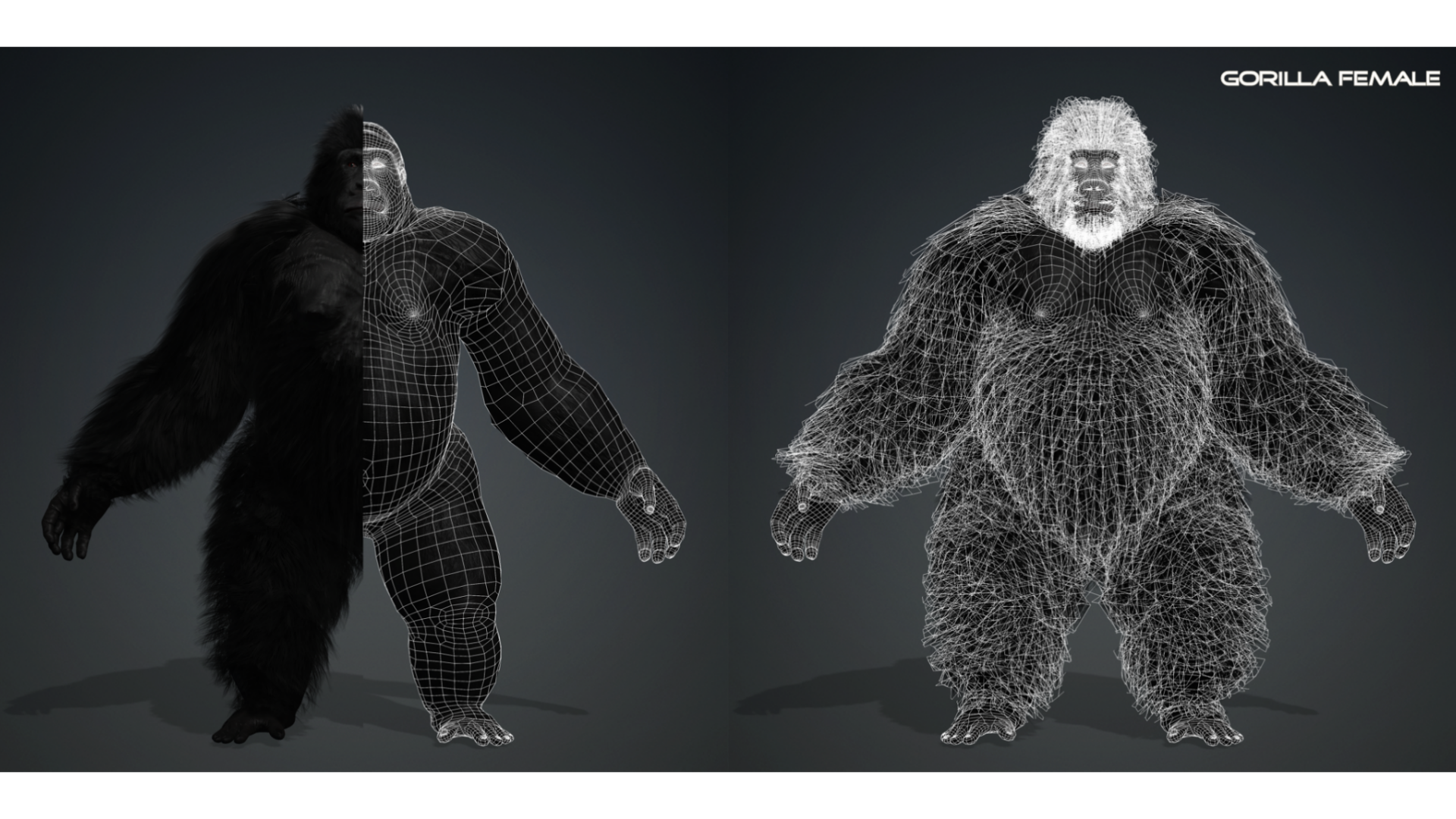 RM3D Gorilla Family - Character Creator/Actor - Reallusion Content Store