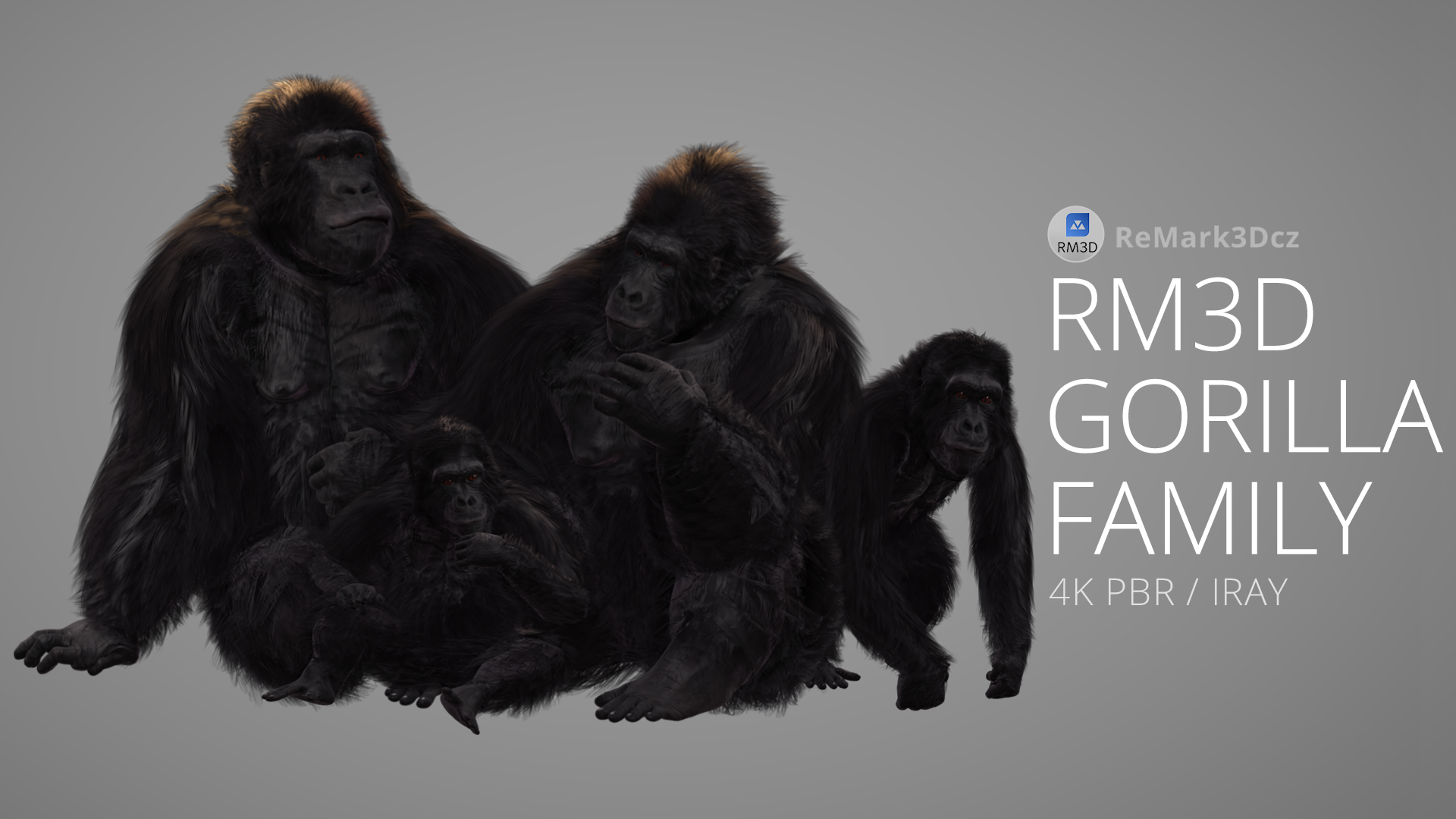 RM3D Gorilla Family - Character Creator/Actor - Reallusion Content Store