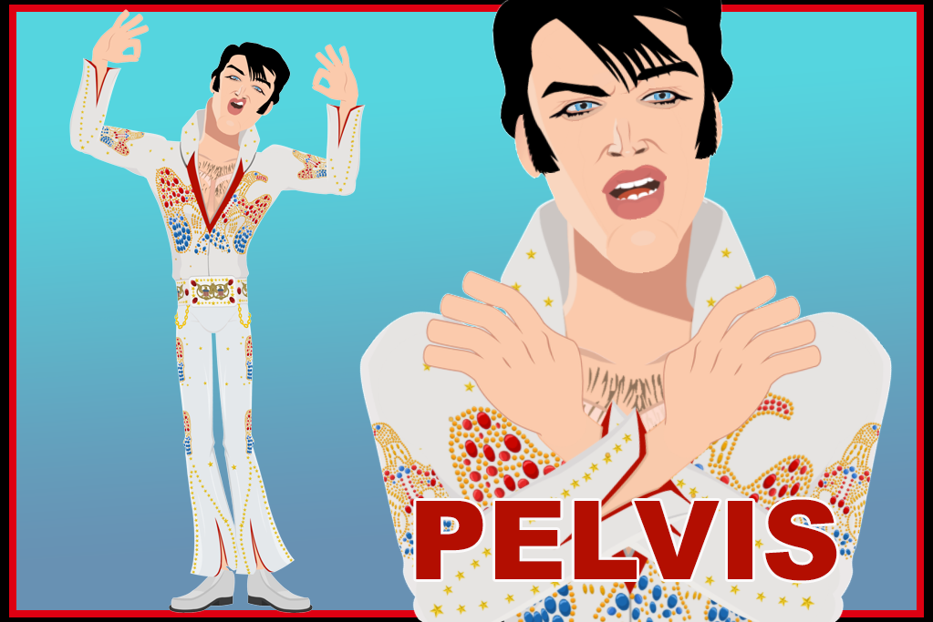 Pelvis - Cartoon Animator/Actor - Reallusion Content Store