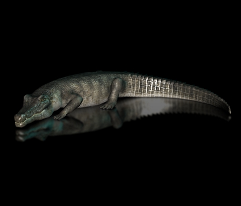 PROTOFACTOR - CROCODILE - iClone/Actor - Reallusion Content Store