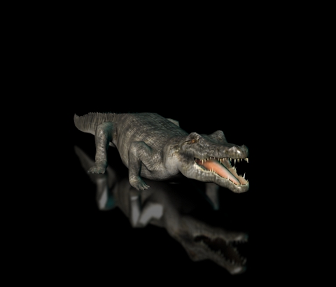 PROTOFACTOR - CROCODILE - iClone/Actor - Reallusion Content Store