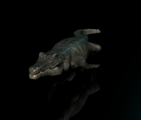 PROTOFACTOR - CROCODILE - iClone/Actor - Reallusion Content Store