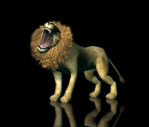 PROTOFACTOR - LIONS - iClone/Actor - Reallusion Content Store