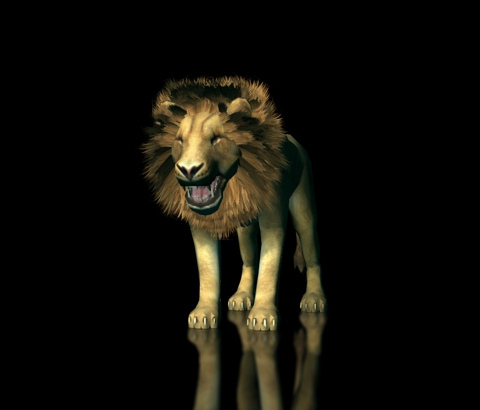 PROTOFACTOR - LIONS - iClone/Actor - Reallusion Content Store