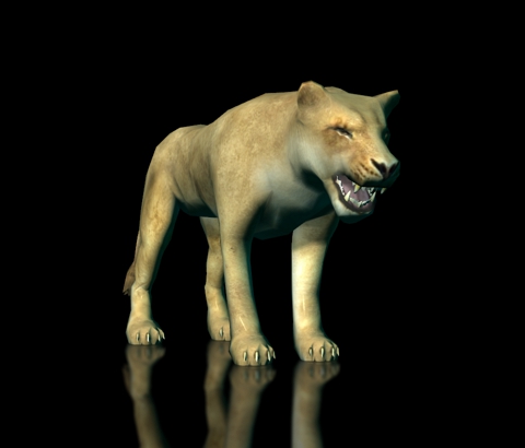 PROTOFACTOR - LIONS - iClone/Actor - Reallusion Content Store