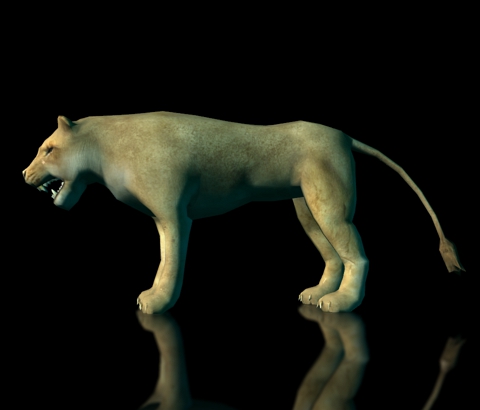 PROTOFACTOR - LIONS - iClone/Actor - Reallusion Content Store
