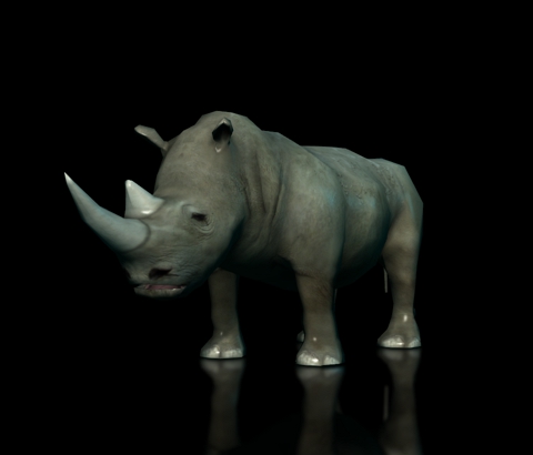 PROTOFACTOR - RHINOCEROS - iClone/Actor - Reallusion Content Store