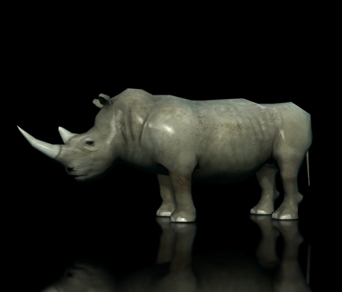 PROTOFACTOR - RHINOCEROS - iClone/Actor - Reallusion Content Store