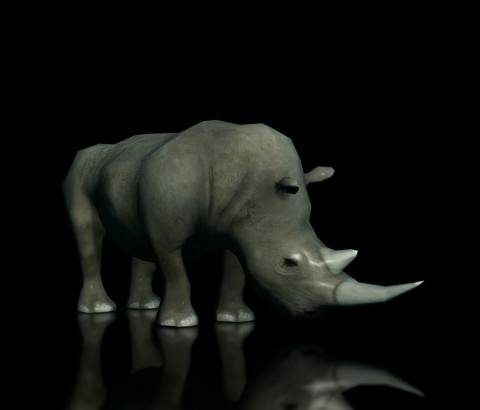 PROTOFACTOR - RHINOCEROS - iClone/Actor - Reallusion Content Store