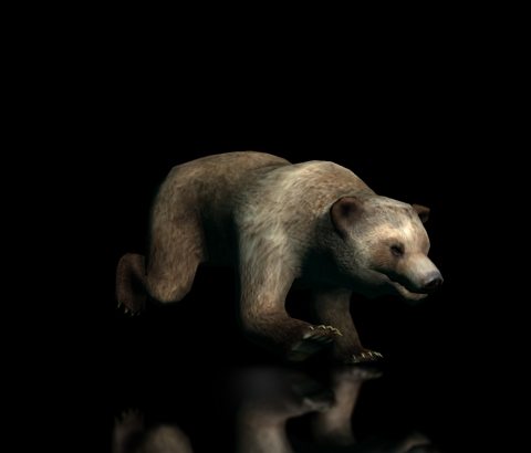 PROTOFACTOR - BEAR - iClone/Actor - Reallusion Content Store
