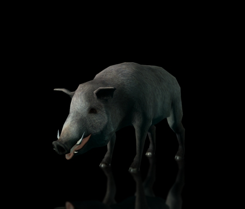 PROTOFACTOR - BOAR - iClone/Actor - Reallusion Content Store