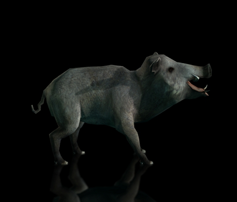 PROTOFACTOR - BOAR - iClone/Actor - Reallusion Content Store
