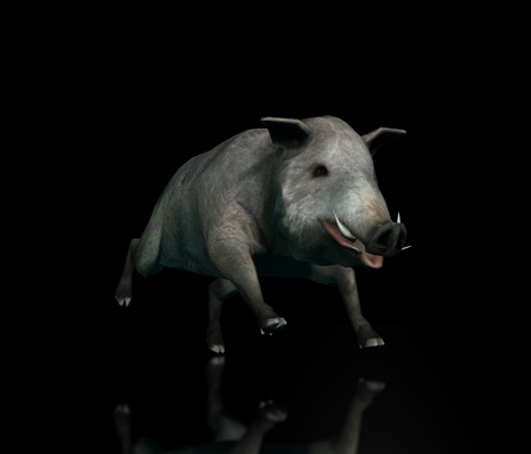 PROTOFACTOR - BOAR - iClone/Actor - Reallusion Content Store