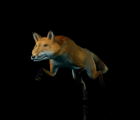 PROTOFACTOR - FOX - iClone/Actor - Reallusion Content Store