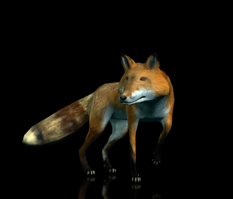 PROTOFACTOR - FOX - iClone/Actor - Reallusion Content Store
