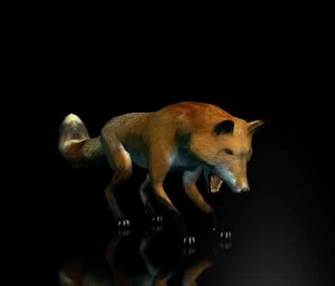 PROTOFACTOR - FOX - iClone/Actor - Reallusion Content Store