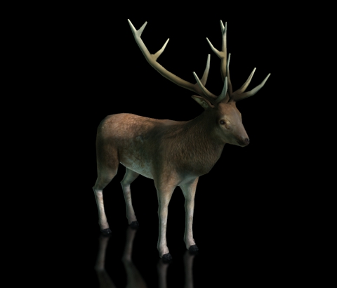 PROTOFACTOR - STAG - iClone/Actor - Reallusion Content Store