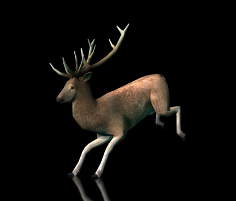 PROTOFACTOR - STAG - iClone/Actor - Reallusion Content Store