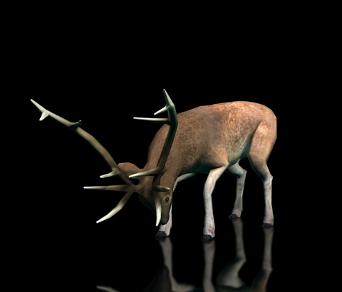 PROTOFACTOR - STAG - iClone/Actor - Reallusion Content Store