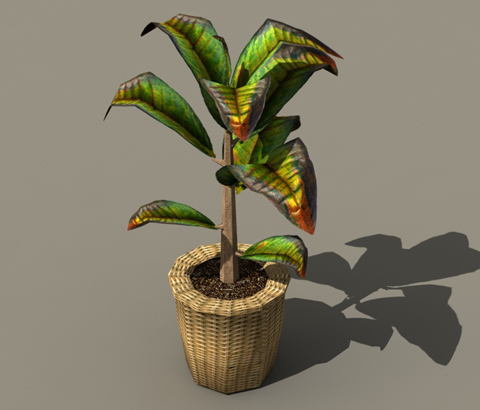 House Plants - iClone/Stage - Reallusion Content Store