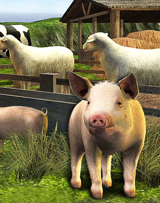 C: Animal World Total Collection - iClone/Combo (Multiple-PID ...