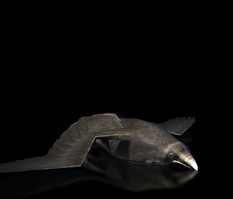 CROW Bird - iClone/Actor - Reallusion Content Store