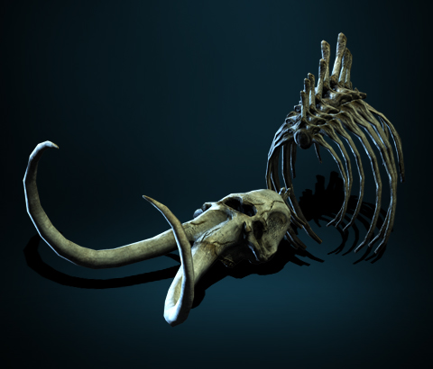 Ancient Props - iClone/Stage - Reallusion Content Store
