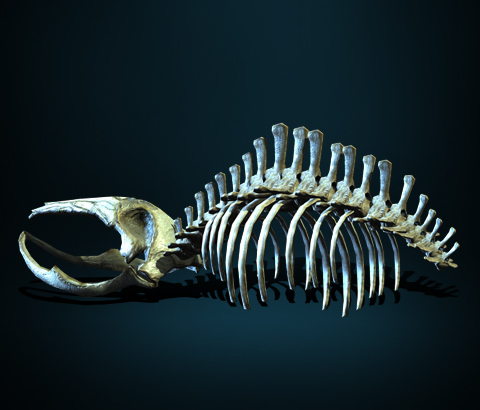 Ancient Props - iClone/Stage - Reallusion Content Store